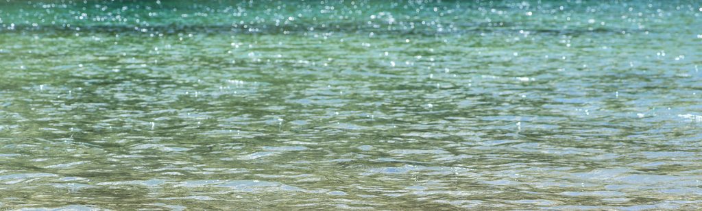 Services FYI – Nelson Community Services